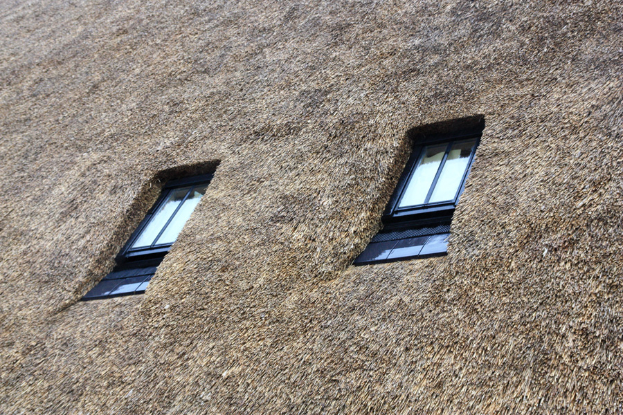 Morphique Architecten - Riet woning